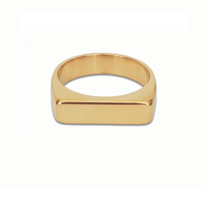 The Everyday Signet Ring | My Bijoux Toronto